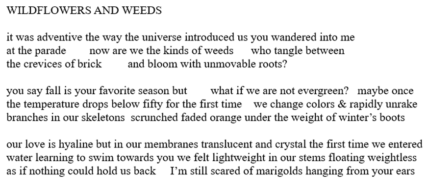 Wildflowers and Weeds | James Croal Jackson